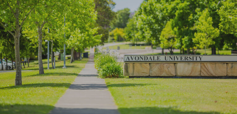 The Catalyst Team – Catalyst